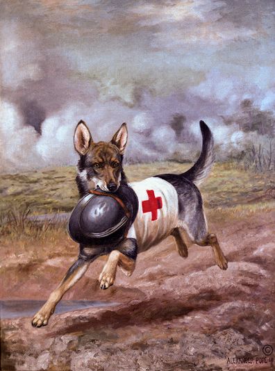 The Mercy Dogs of World War 1 | Amusing Planet