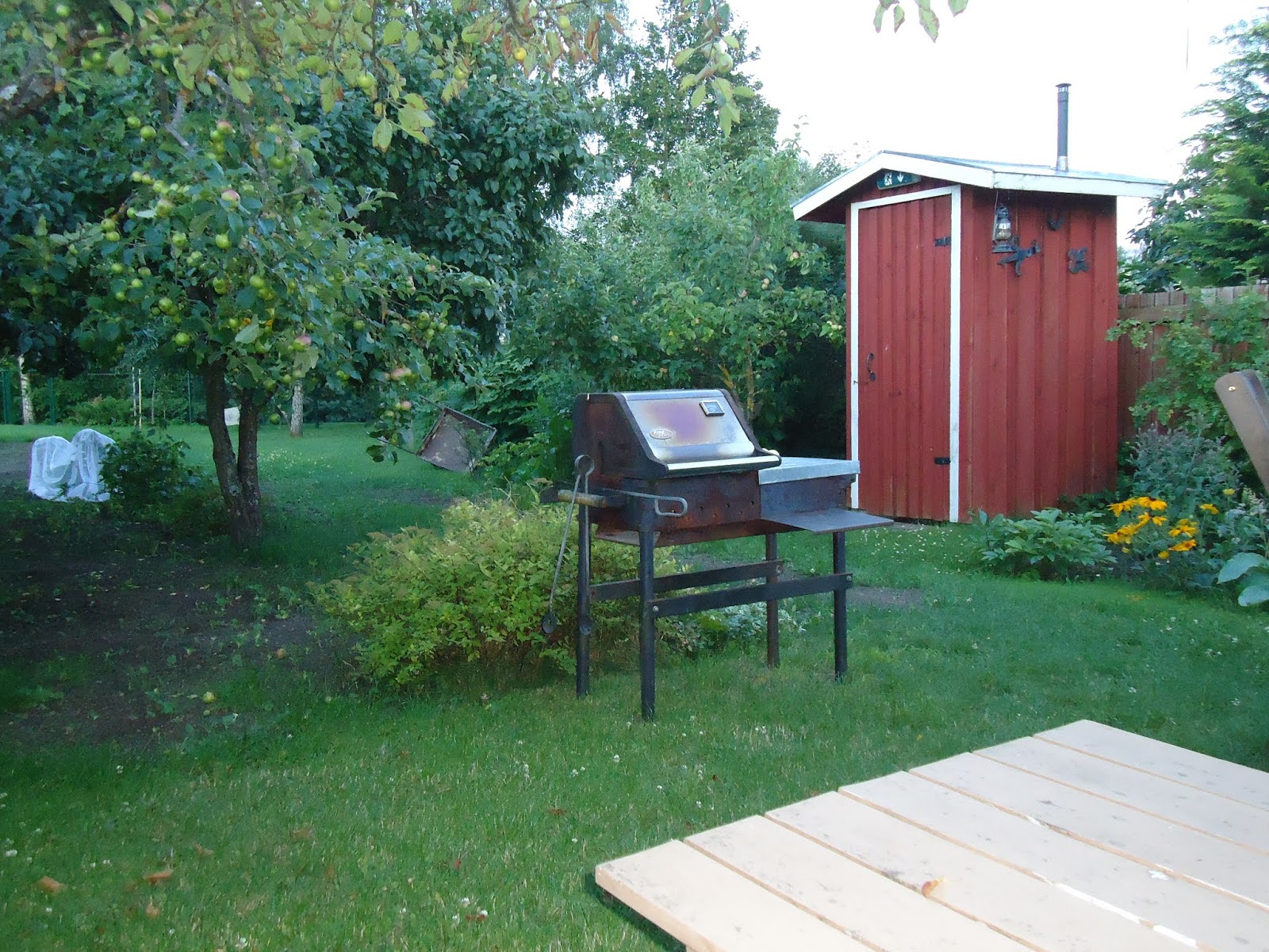 Margit Petersoni kirjalaegas: Ülivinge Belka ja teised armsad loomad