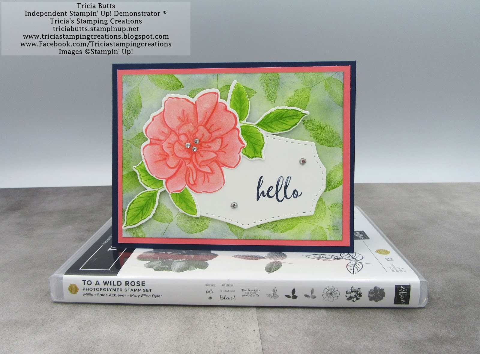 Tricia's Stamping Creations: Colour Combo September Blog Hop