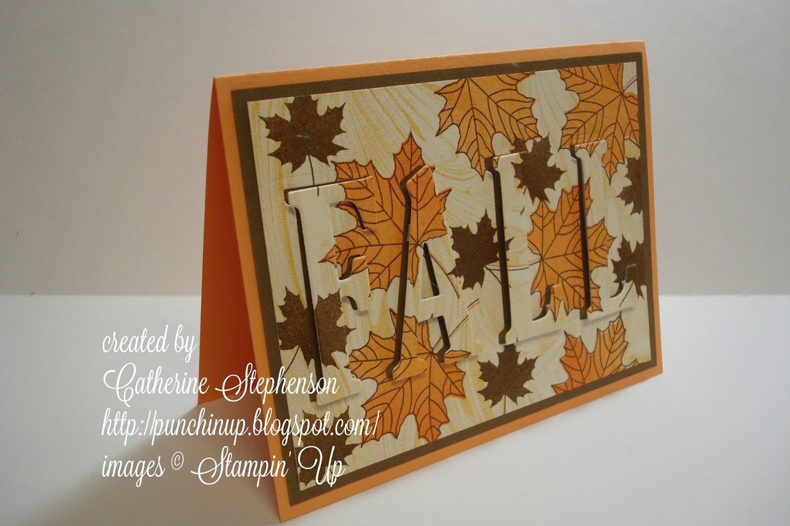 Punchin' Up! by Cathy: Colorful Seasons Fall Eclipse Card