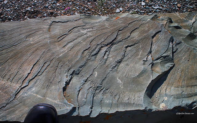 Glacier National Park - Roc Doc Travel