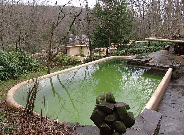 1000+ images about Falling Water House on Pinterest | Frank lloyd ...