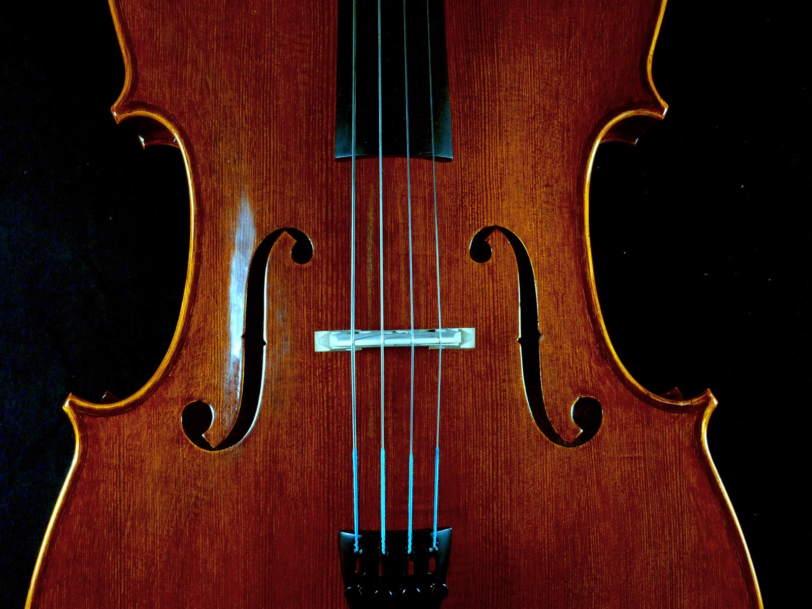 Violoncelos - Studio Liutai