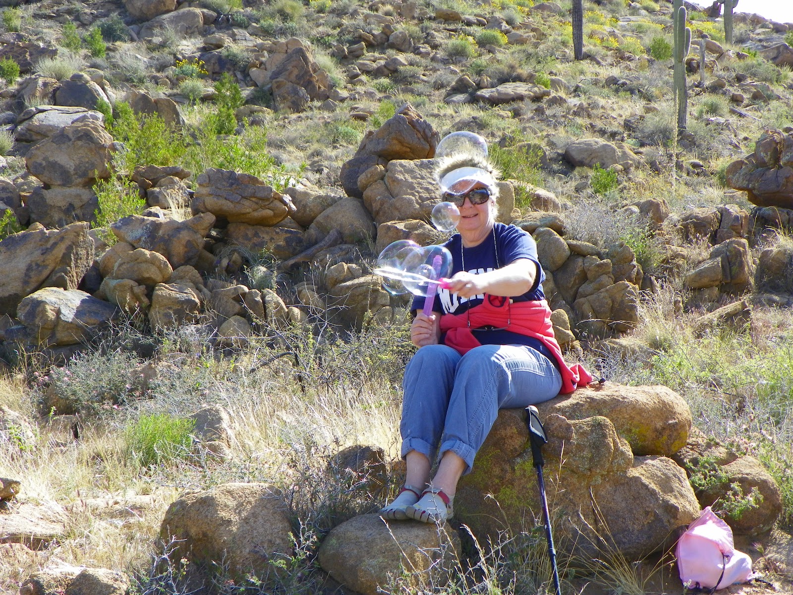 ON THE ROAD: Rock Shadows RV Park-Apache Junction,AZ