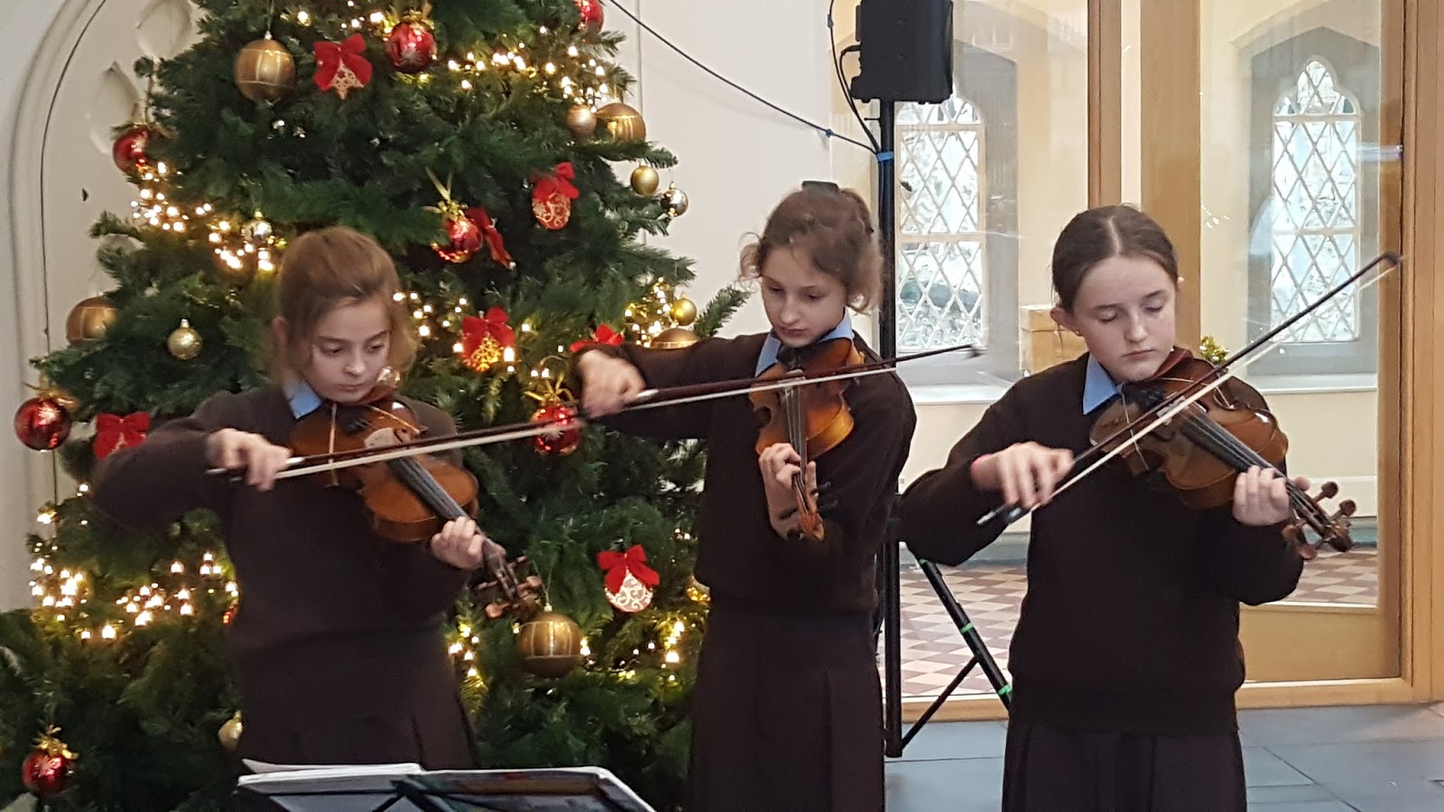 Presto Strings: 2016