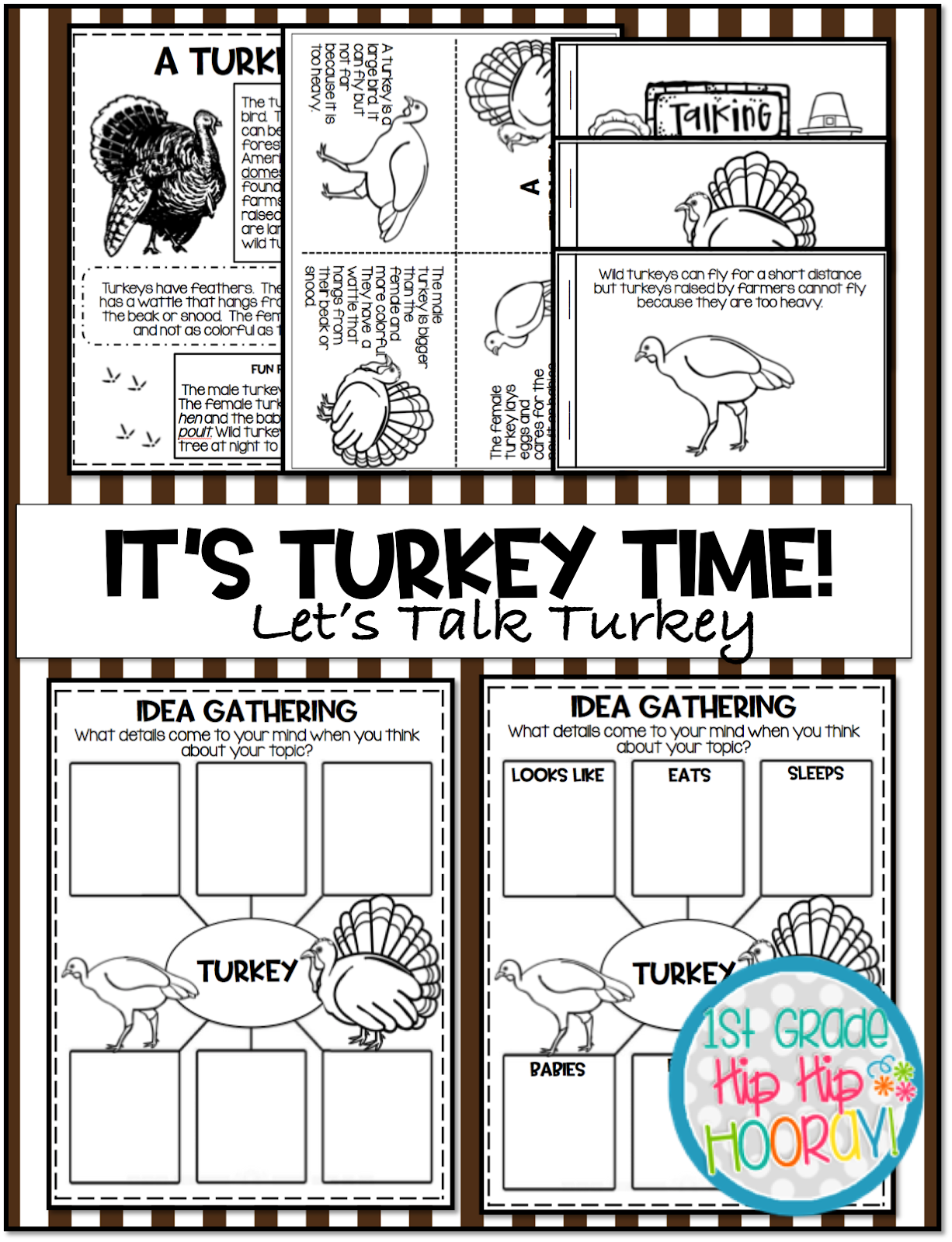 1st Grade Hip Hip Hooray!: It's Turkey Time...Let's Talk Turkey!
