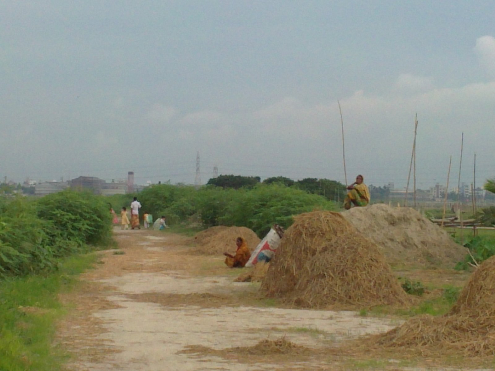 bangladesh natural environment