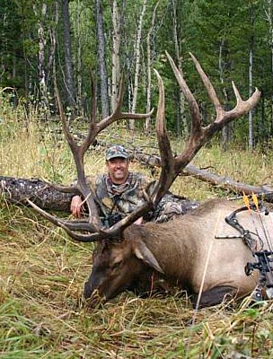 WILD LIFE: AMAZING WORLD RECORD BULL ELK