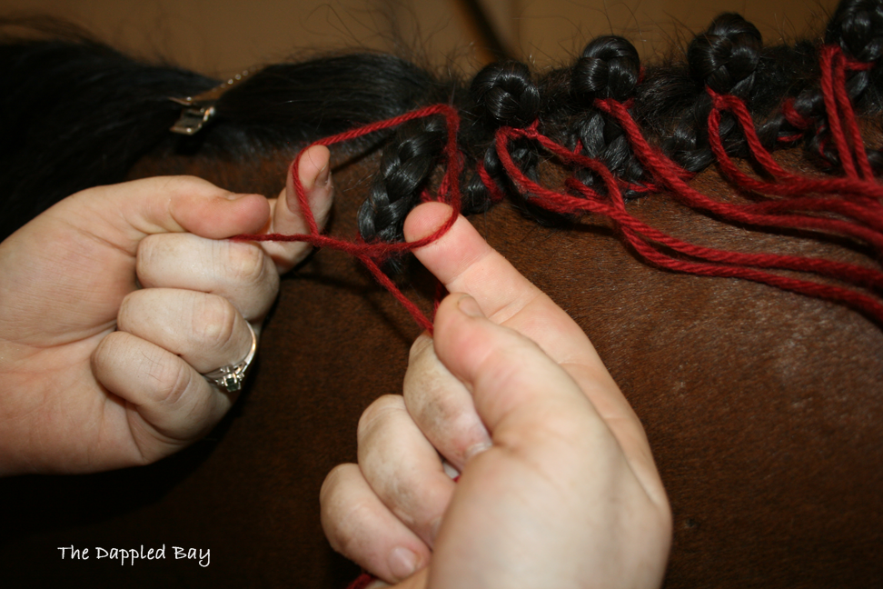 The Dappled Bay: Tutorial: Scalloped Button Braids