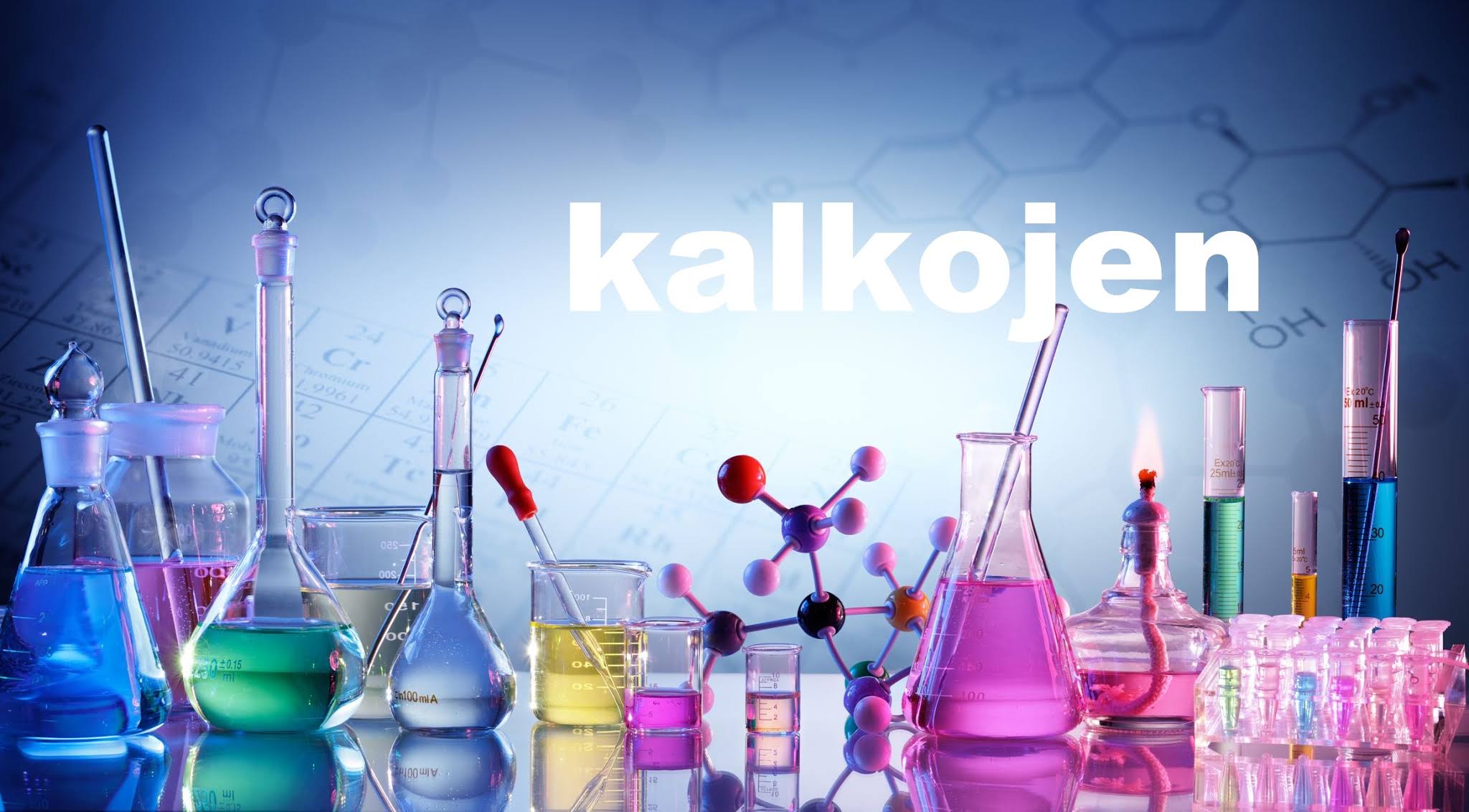 kalkojen - BilginCin