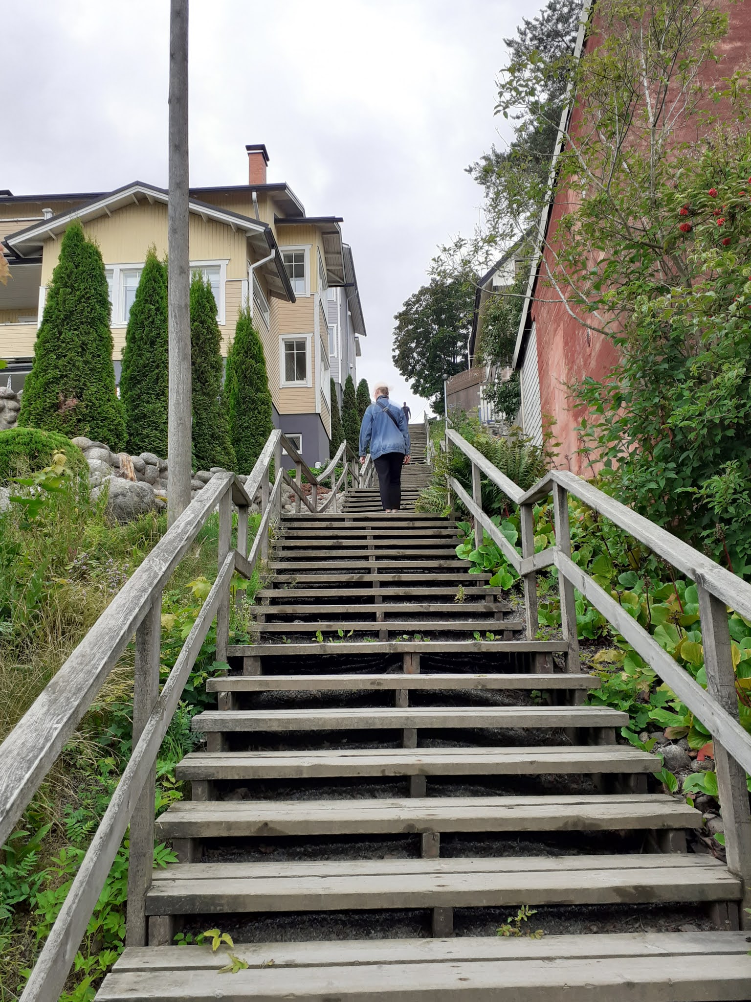 Valotuksia eläkeläiselämään : January 2021