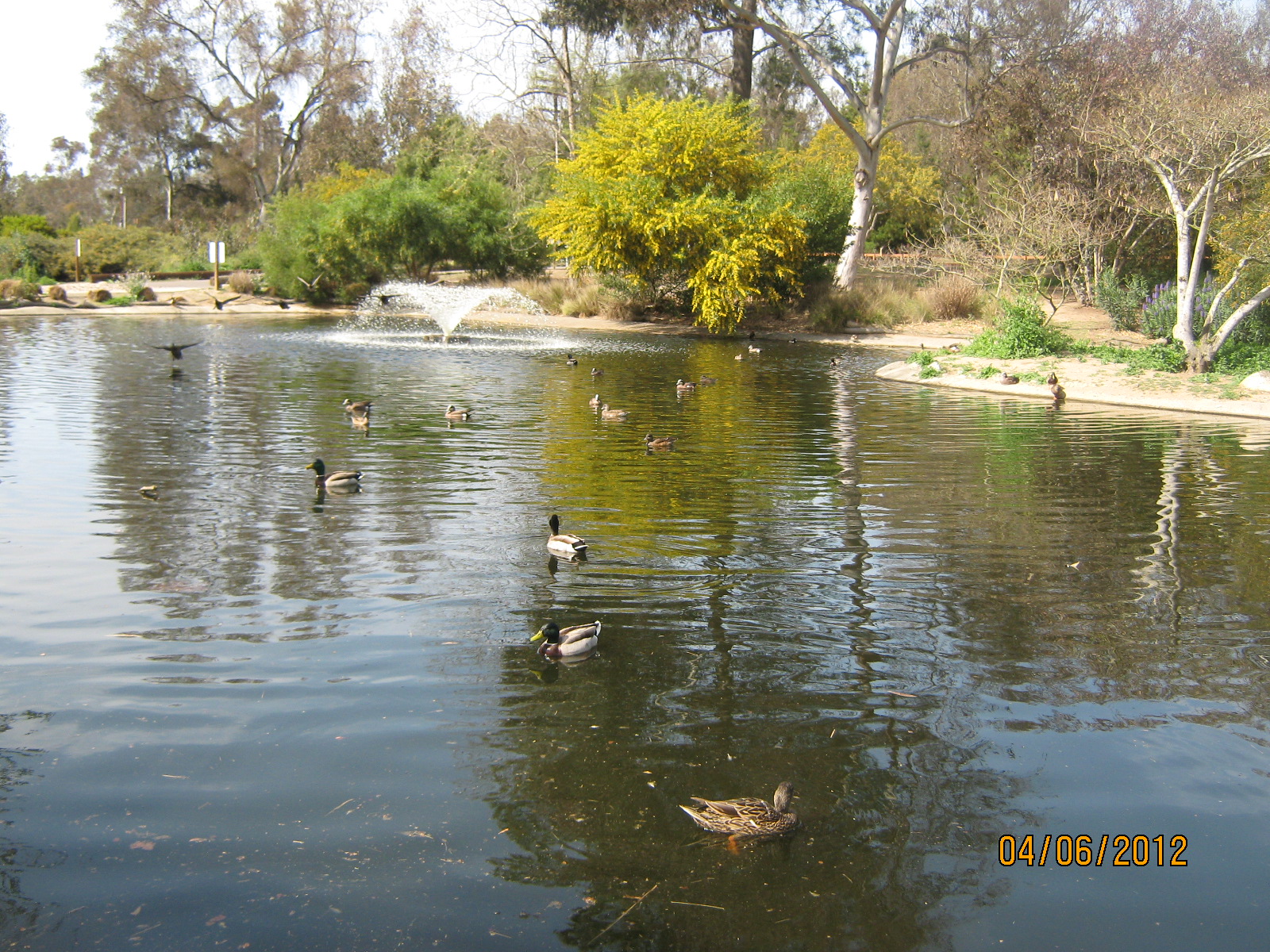 The Spanglish House: San Dieguito Park