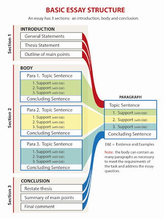 Essay Elements and Structure
