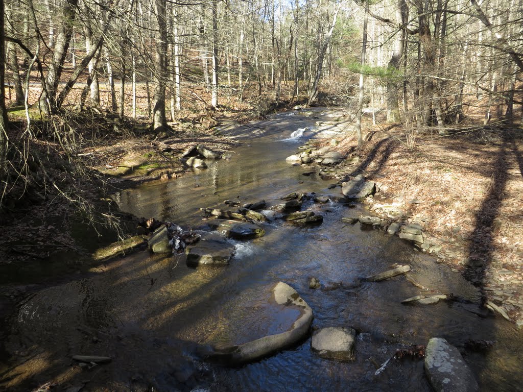 Skookum Traveler: Big Ridge and Cranny Crow (WV)