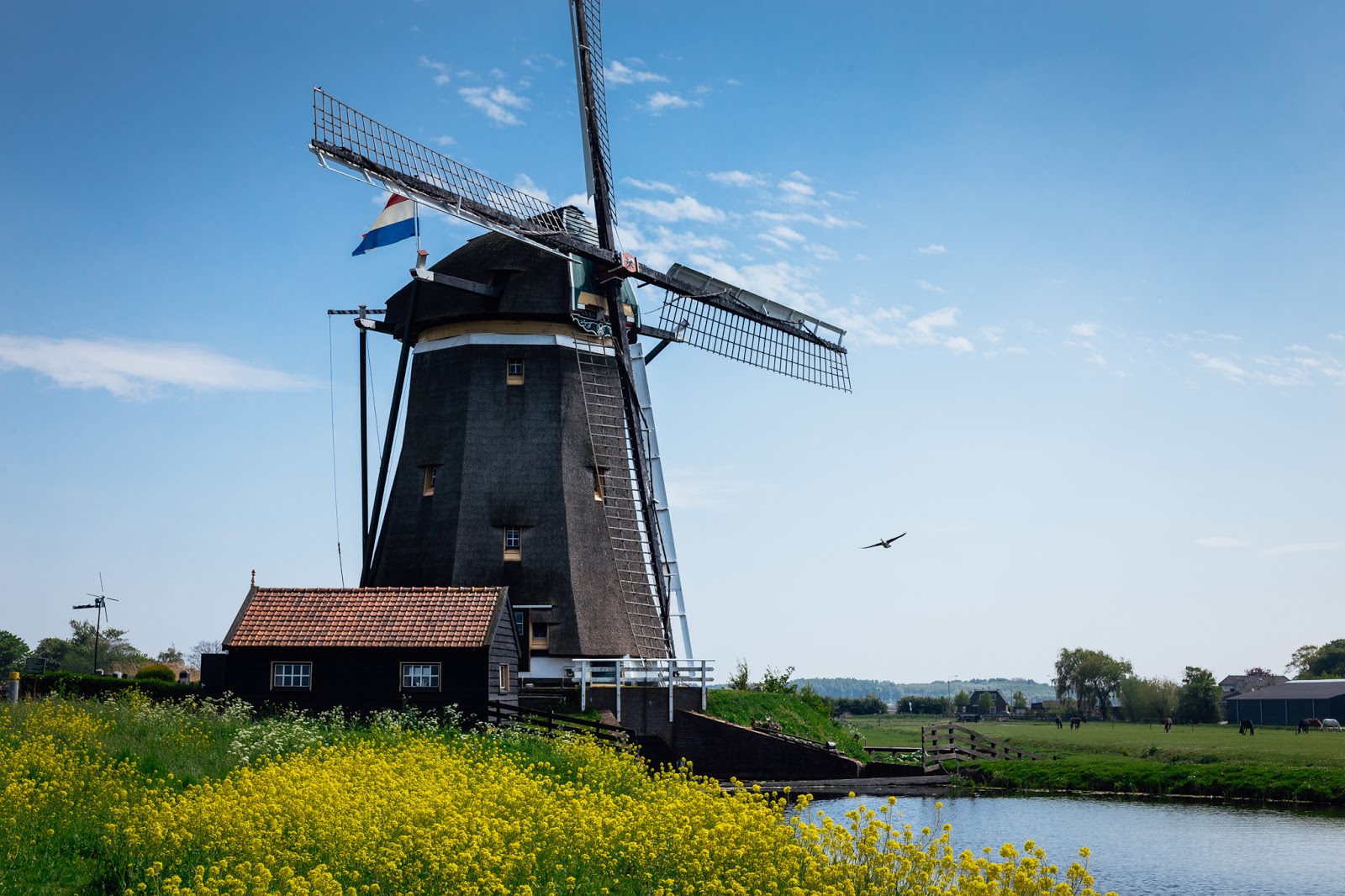 Travel: Dutch Countryside