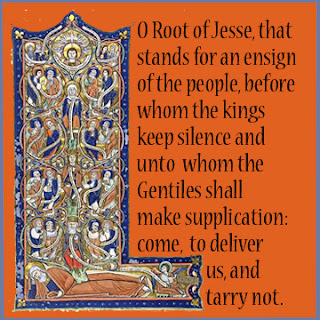 St. Rafe's: The O Antiphons Illustrated