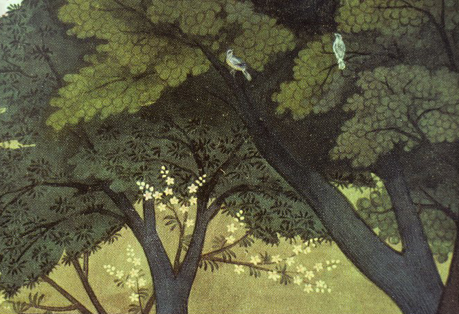 Indian Miniature Paintings: Trees
