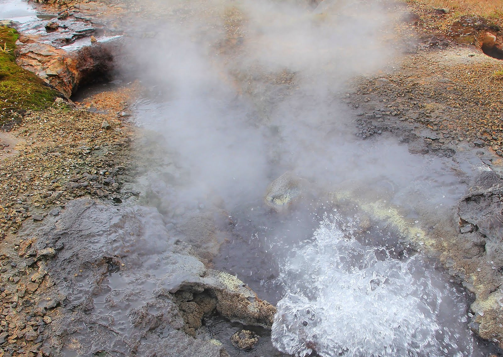 purpura: GEISERES Y GEOTERMIA