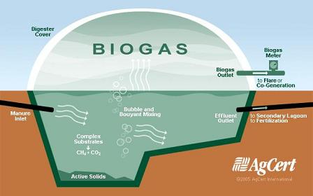 Earth Education International Blog: Biodigester at El Yue