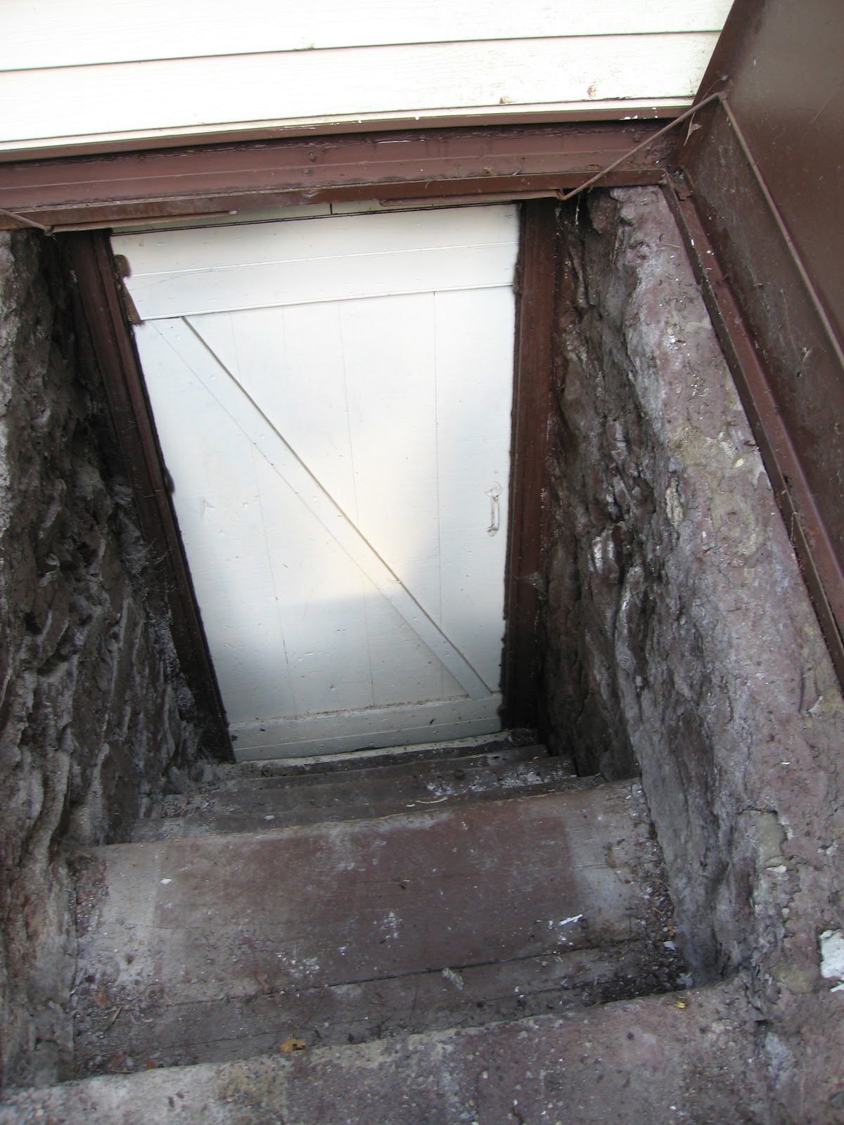 House out of Focus: Basement bulkhead