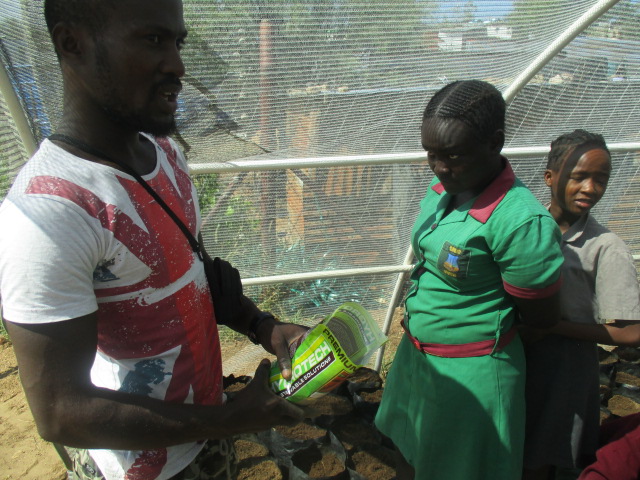 Dr Frans Indongo Primary School Veggietunnel Project