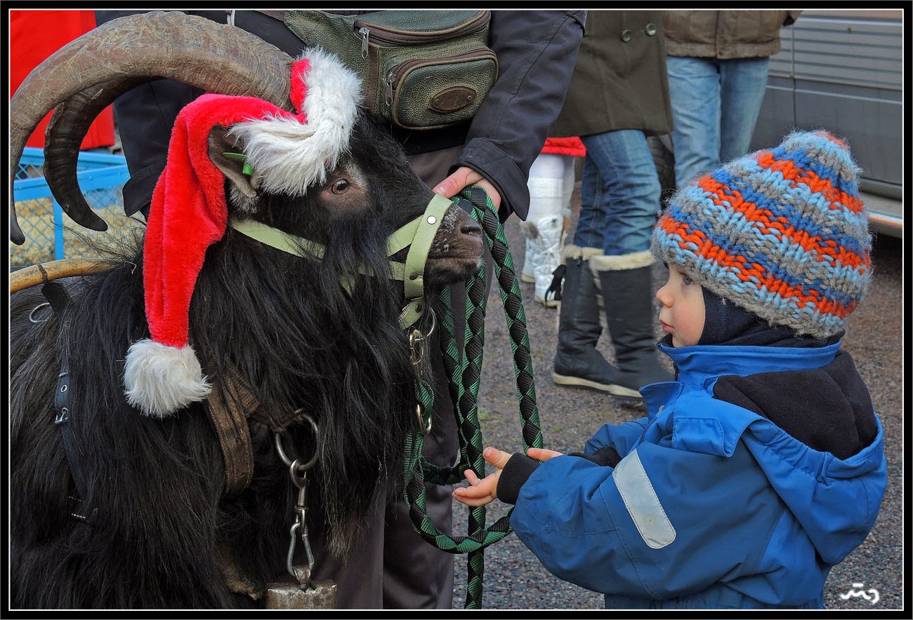 MIKKELI: Christmas Market at the Old Great Square 2013 in Turku ...