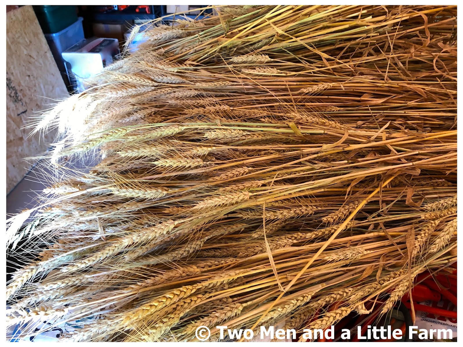 Two Men and a Little Farm: WEEKEND IN REVIEW