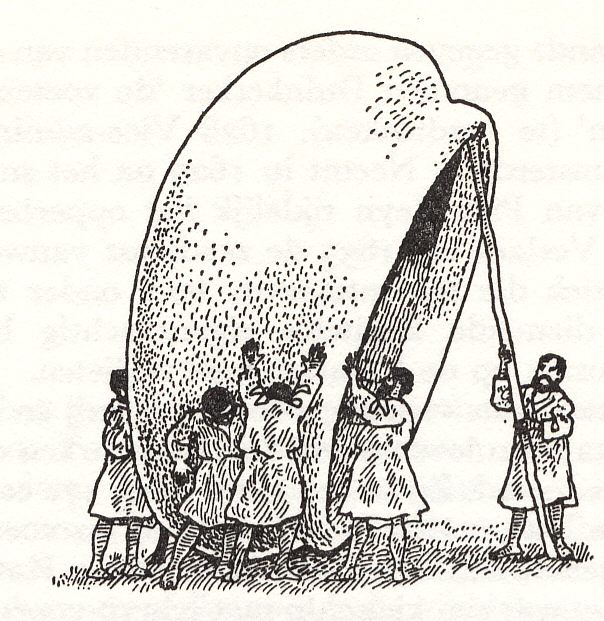 'ZIEN EN WETEN': QUFFA.