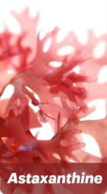 Astaxanthine (supplement)