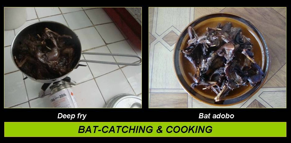 Warrior Pilgrimage: HOW TO CATCH CAVE BATS FOR FOOD THE PRIMITIVE WAY