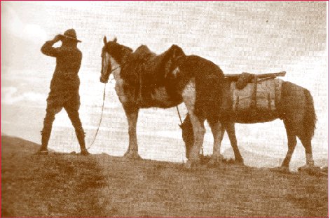 Guia da Bombacha: Gato e Mancha/Gato y Mancha