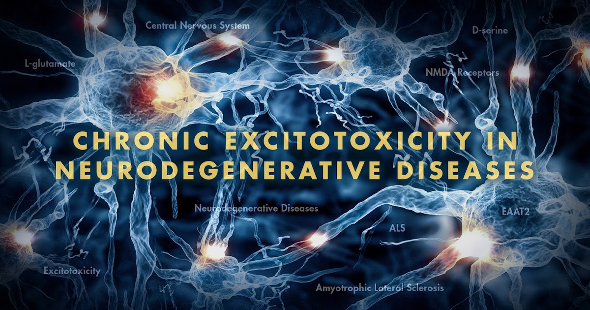 Functional Neurology: Chronic Excitotoxicity in Neurodegenerative ...