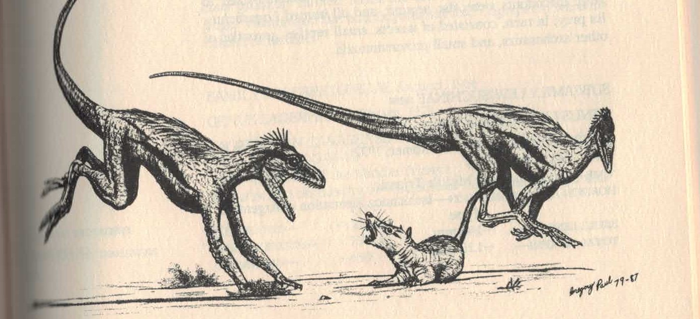 Manospondylus: Unorthodox Ideas about Bird Origins