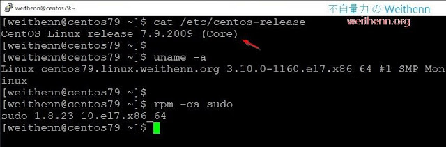 修復 Sudo Buffer Overflow 漏洞 (CVE-2021-3156) ~ 不自量力 の Weithenn 修復 Sudo Buffer Overflow 漏洞 (CVE-2021-3156) ~ 不自量力 の Weithenn