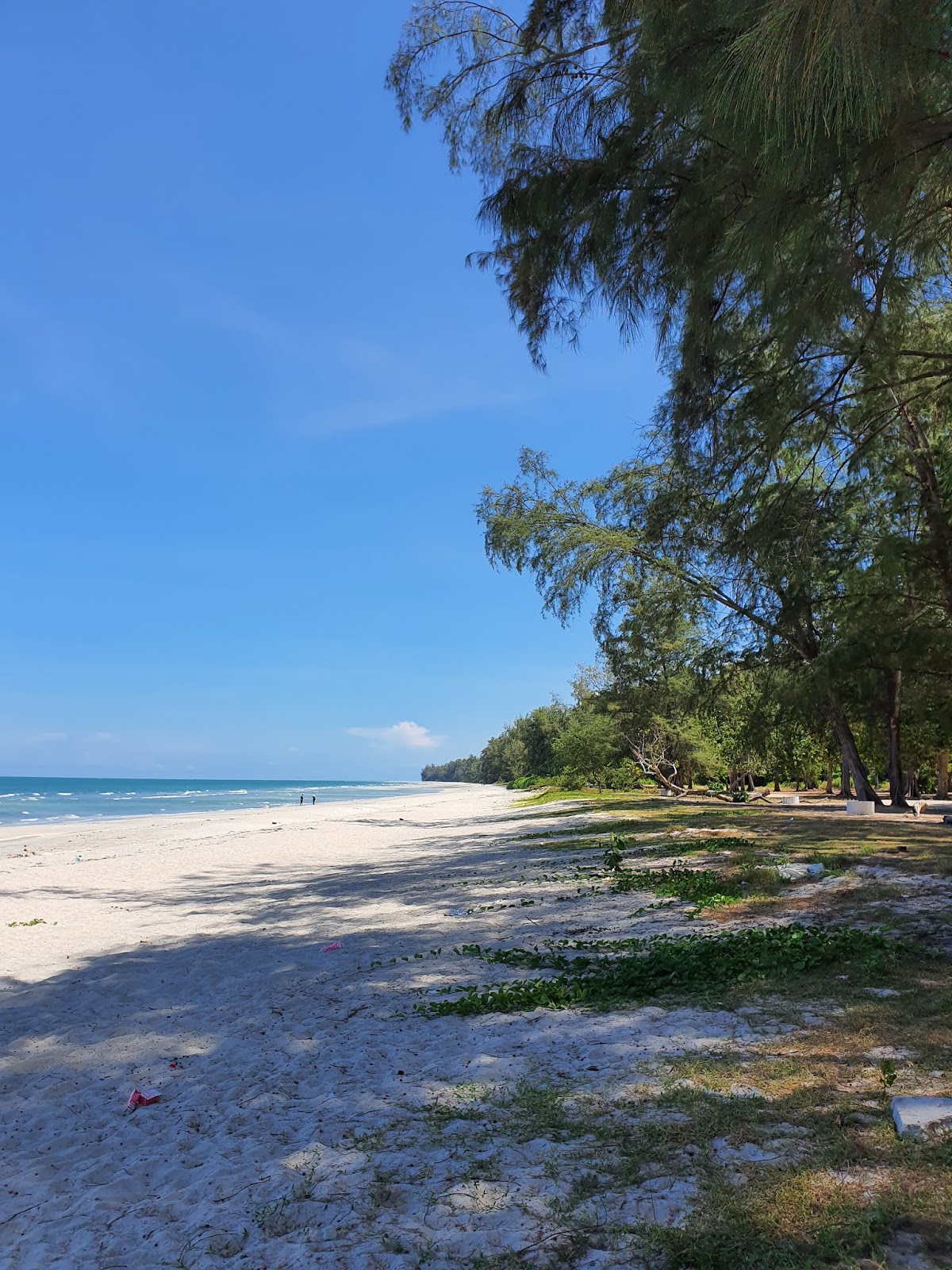 Terminal Jeti & Pantai Tanjung Leman Mersing, Destinasi Yang Mesti ...