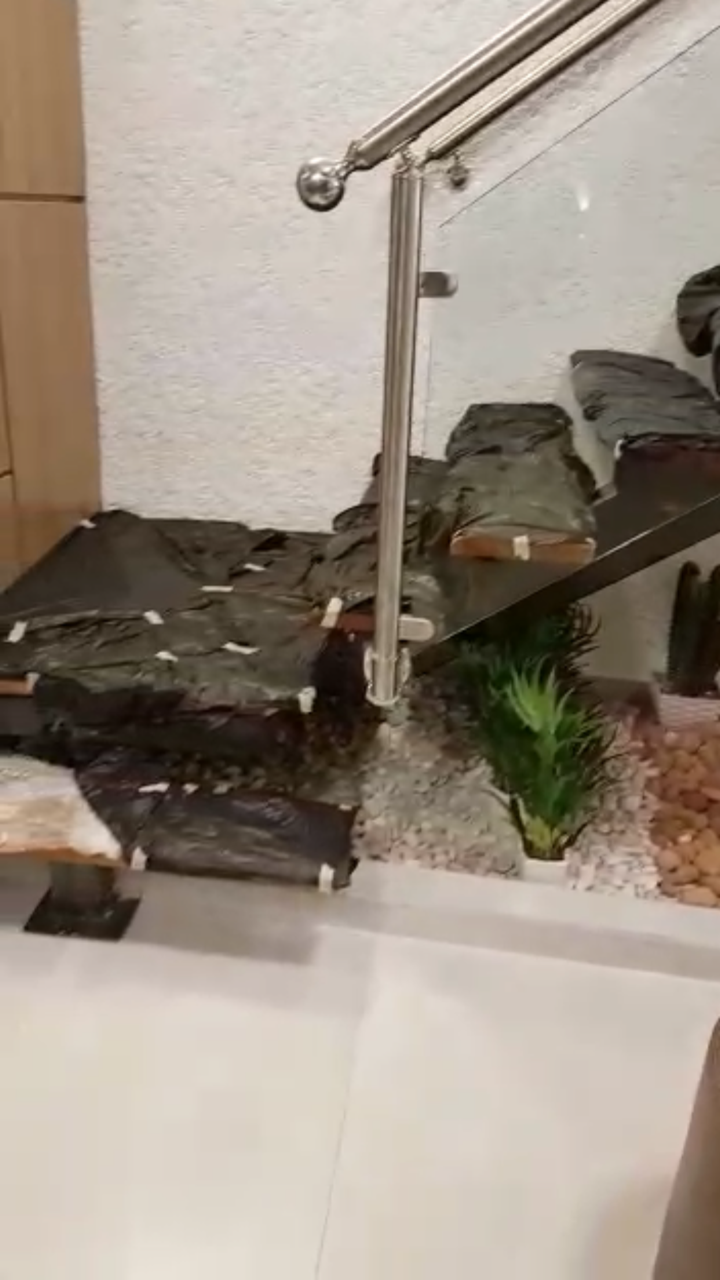 Timaya Buys a Massive New Mansion Worth Over N500M (Photos) - Gistmania