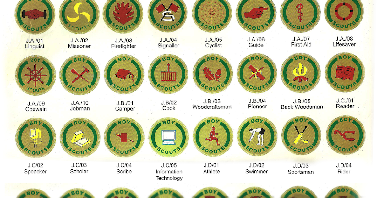 Scout badge book - English medium