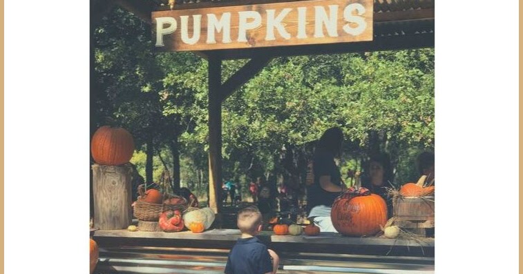 {Three Things // Fall edition} - HALL AROUND TEXAS