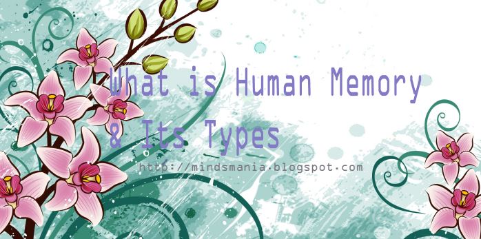 What is Human Memory? And Its Types