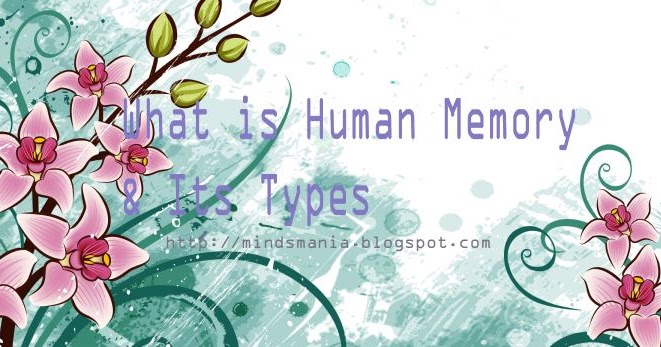What is Human Memory? And Its Types