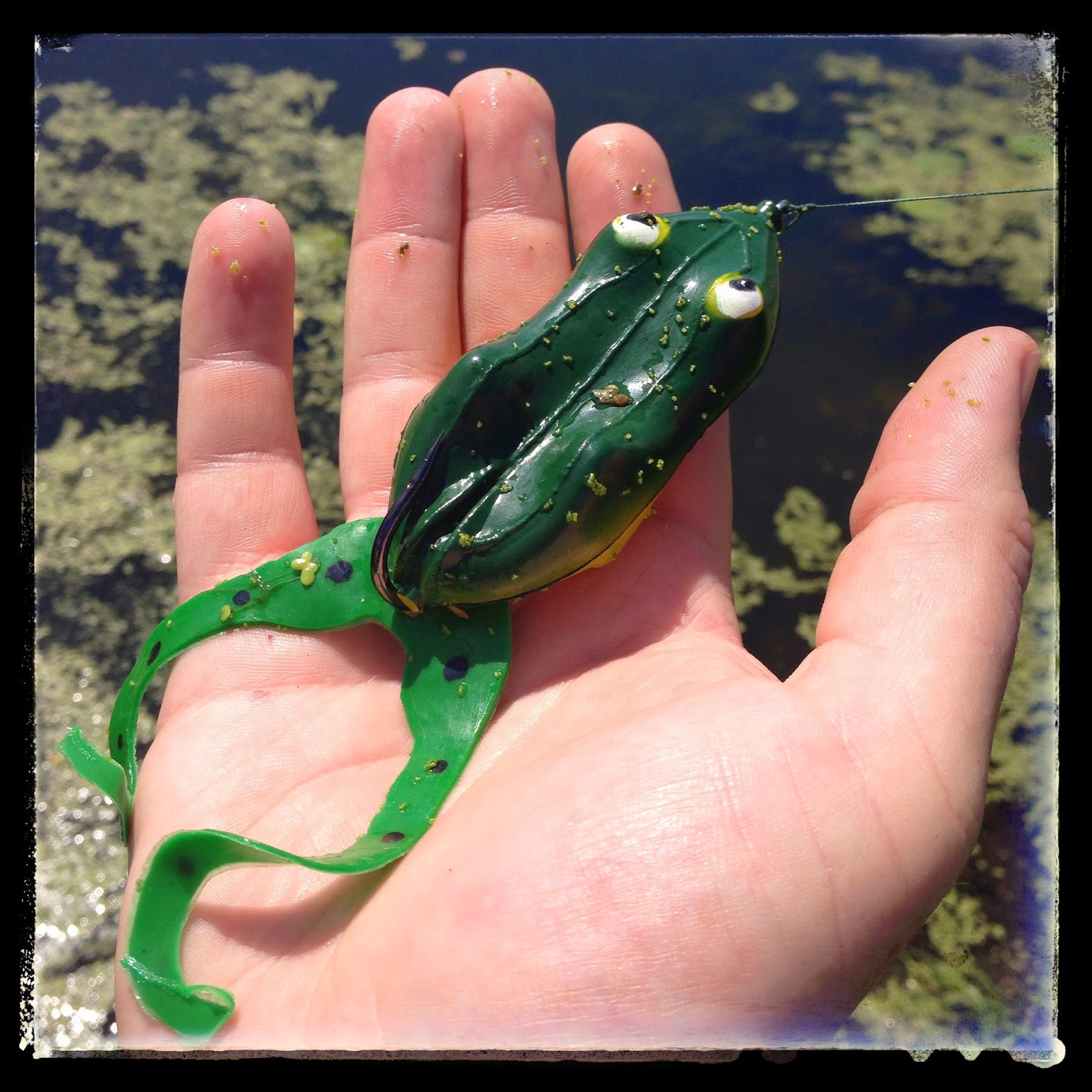 Bass Junkies Frog Pond: Snag Proof "Frogzilla" Review