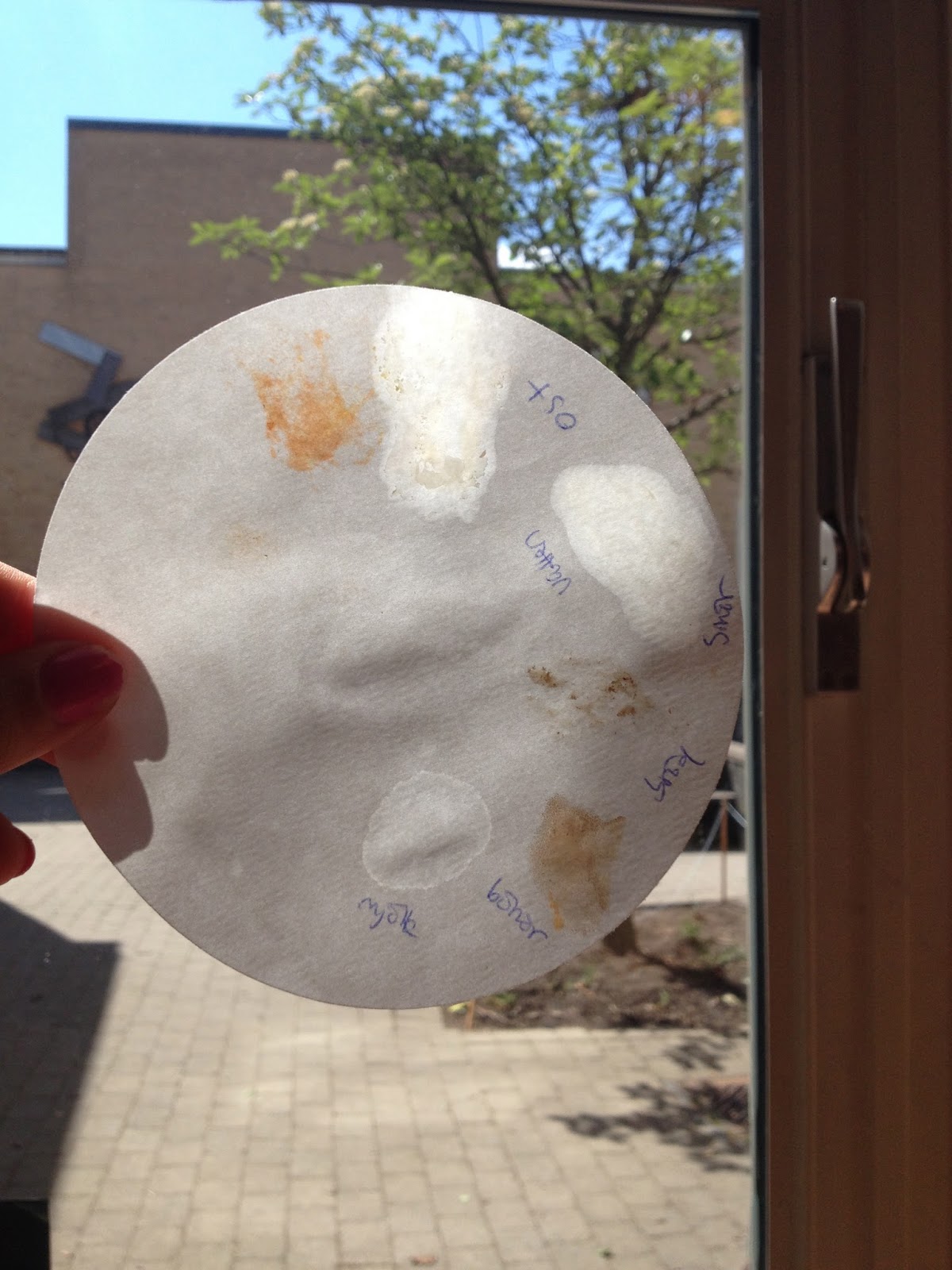 Noors digitala portfolio: Ämnen i vår skollunch