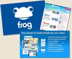 VLE FROG