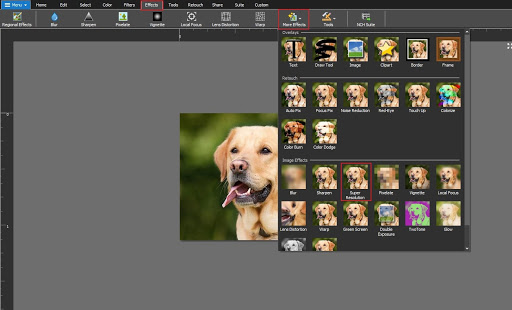 Upscale and Enhance Photos with AI Super Resolution | Do More With Software
