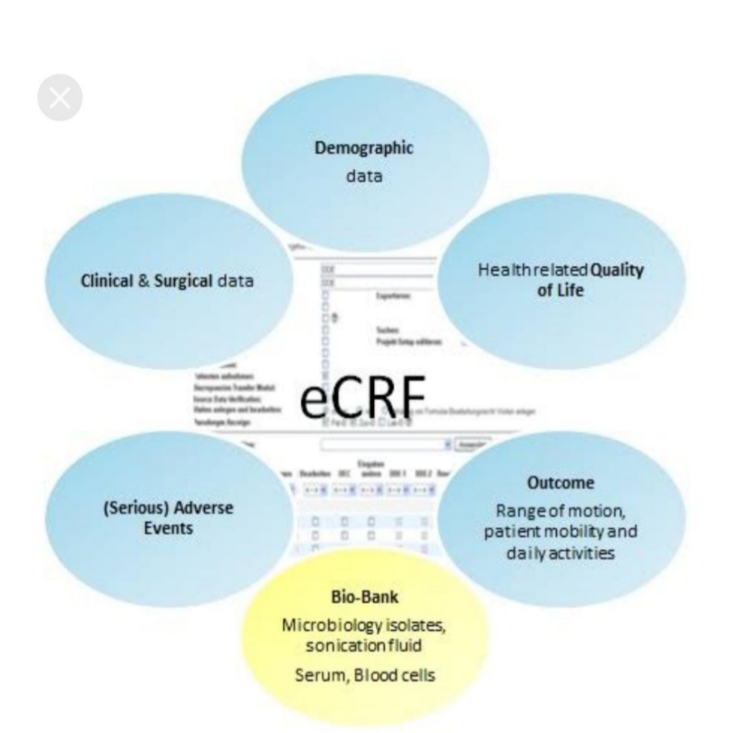 CRF Development From Protocol