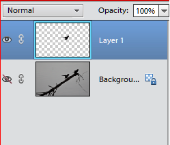 Tips and tricks for Photoshop Elements: How to create icons from images ...
