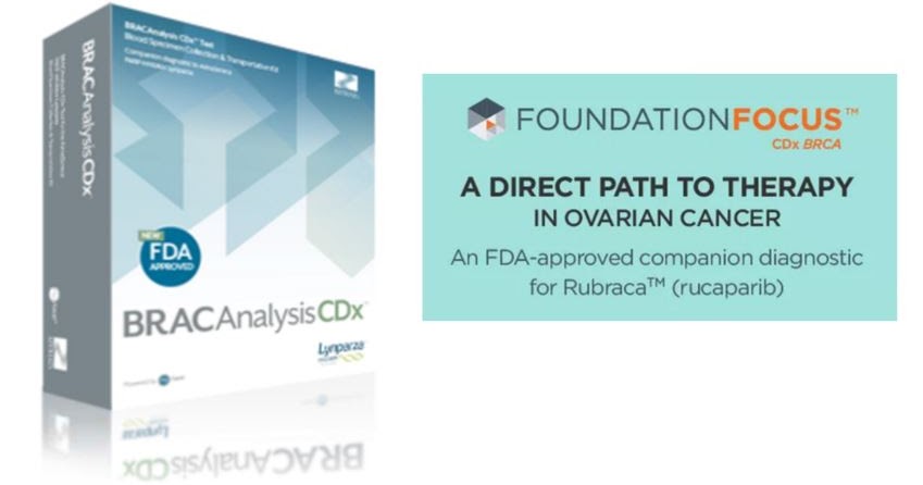 Discoveries in Health Policy: Brief Blog: Comparing the FDA BRCA Approvals for Myriad ...