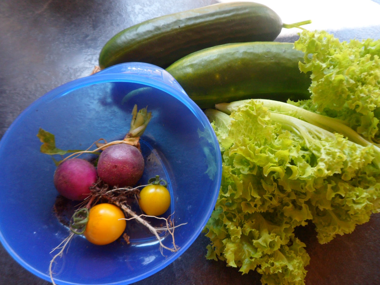 Poppy Patchwork: Harvest