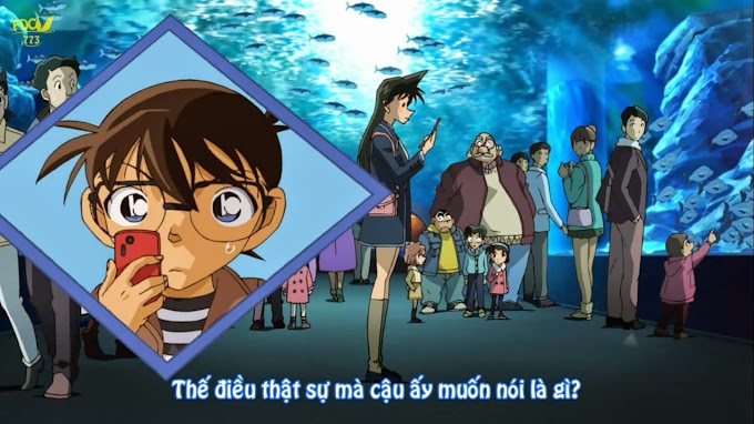 Fan Detective Conan Vietnamese (FDCV)