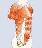 Wesley Corporate Health Blog: Core Stability
